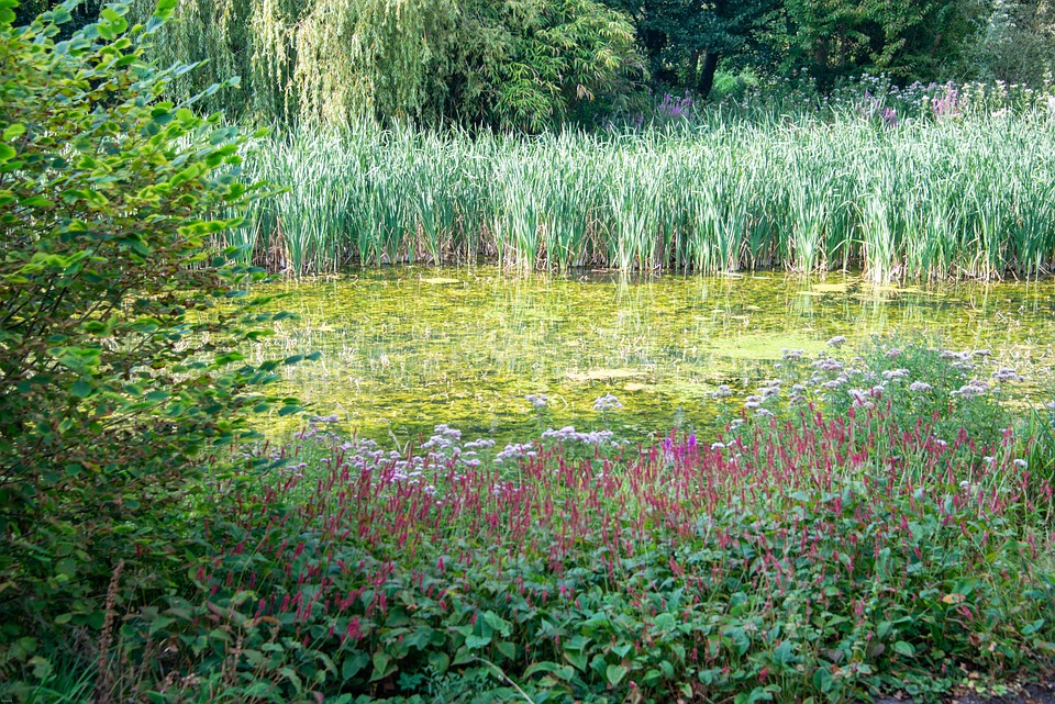 English Country Garden - Free photo on Pixabay - Pixabay