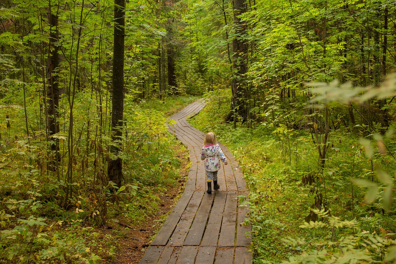 Child Trail Floresta - Foto gratuita no Pixabay - Pixabay