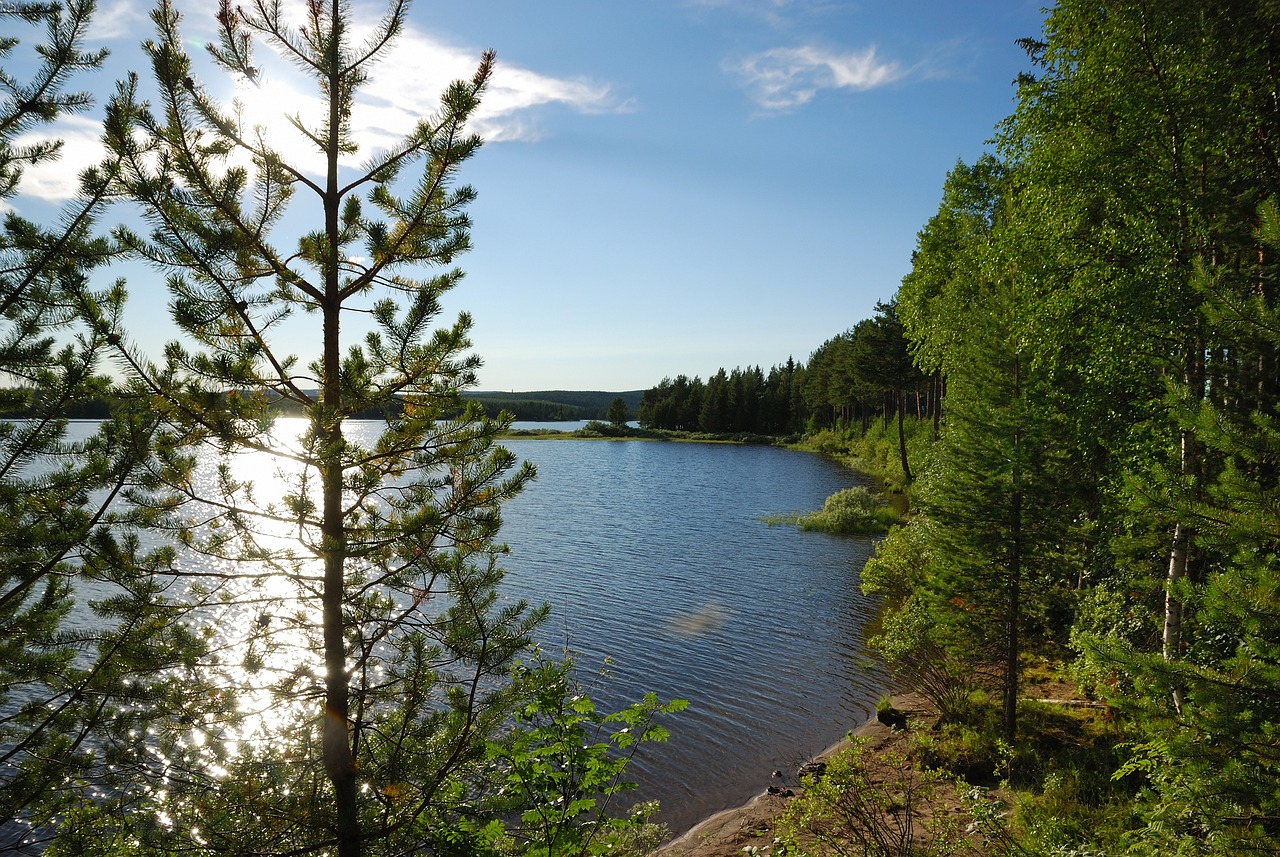Lac Forêt Le Coucher Du Soleil - Photo gratuite sur Pixabay - Pixabay