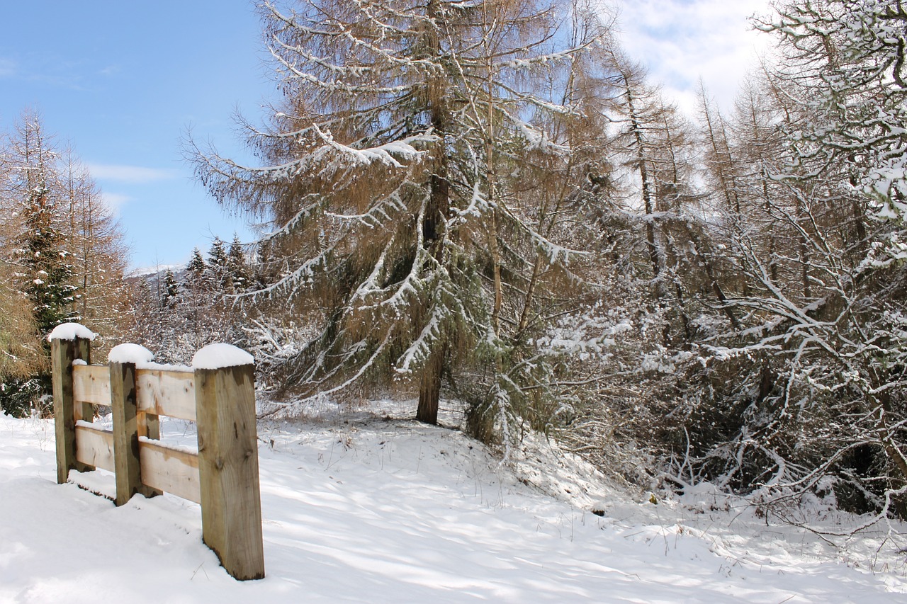 Invierno Navidad Nieve - Foto gratis en Pixabay