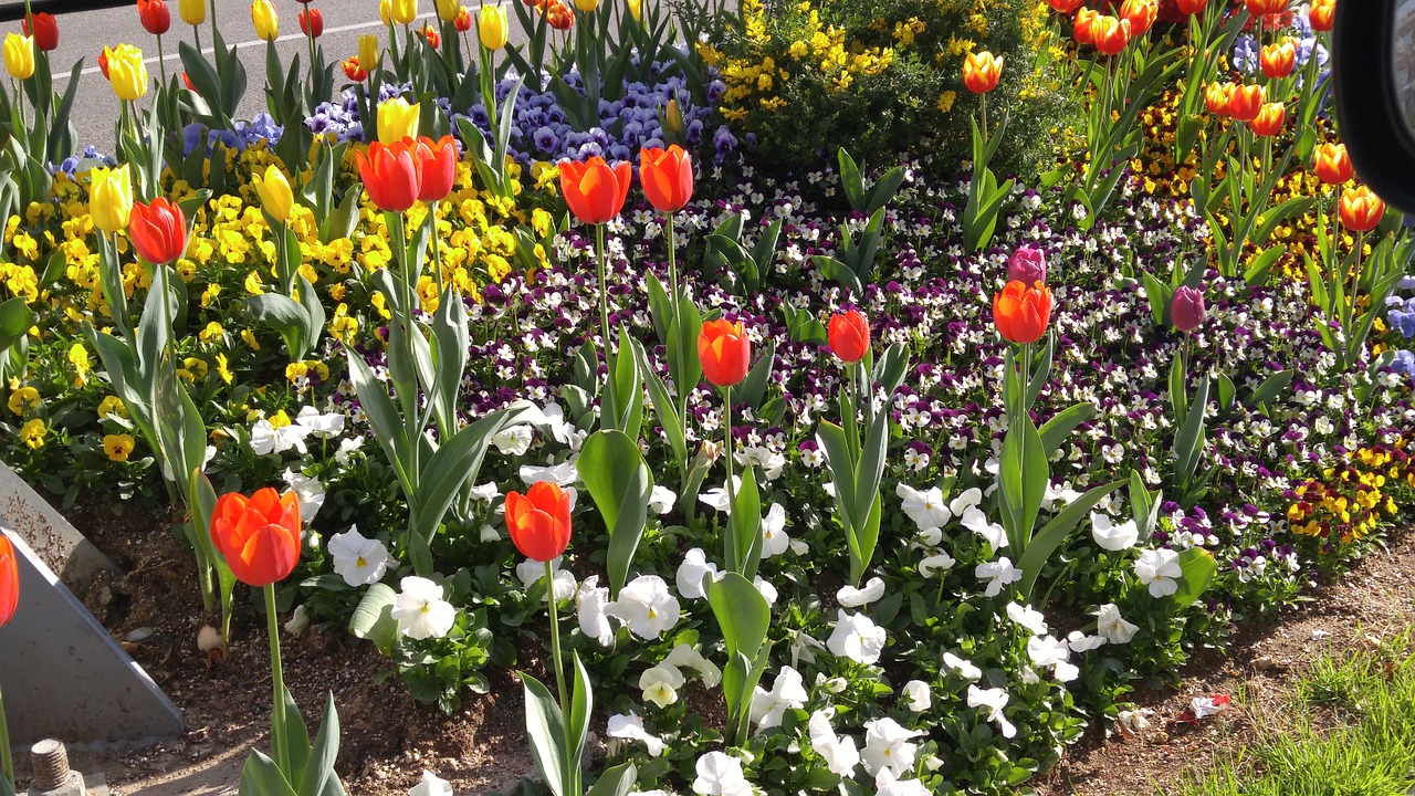 Jardim De Flores Jardins Floridos - Foto gratuita no Pixabay - Pixabay