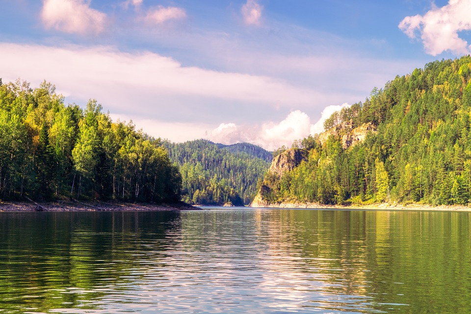 Trees Sea Water - Free photo on Pixabay