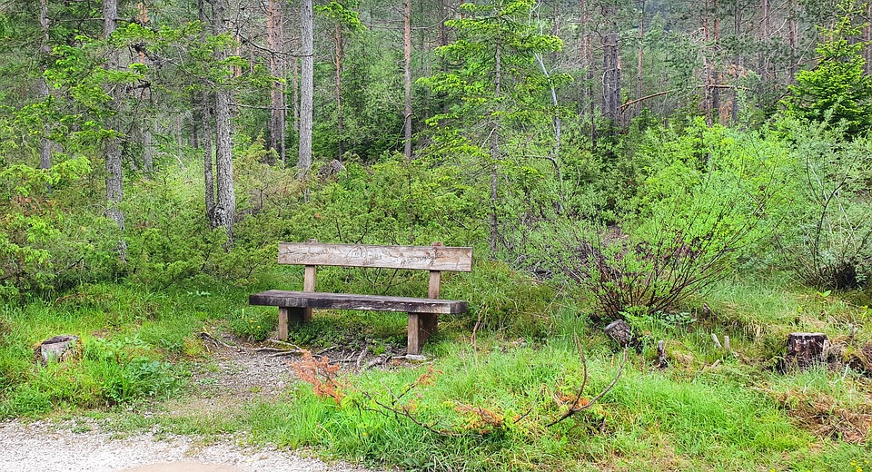 Bank Wald Parkbank - Kostenloses Foto auf Pixabay - Pixabay