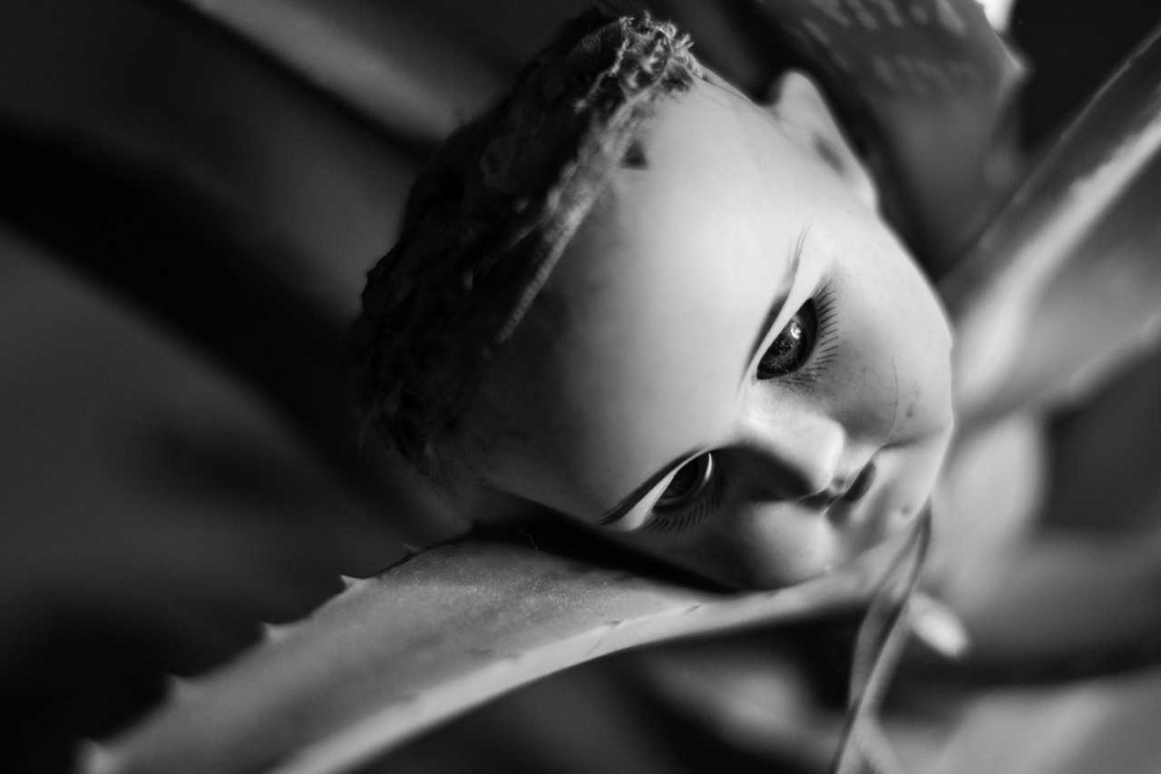 10+ Free Haunted Doll & Paranormal Images - Pixabay