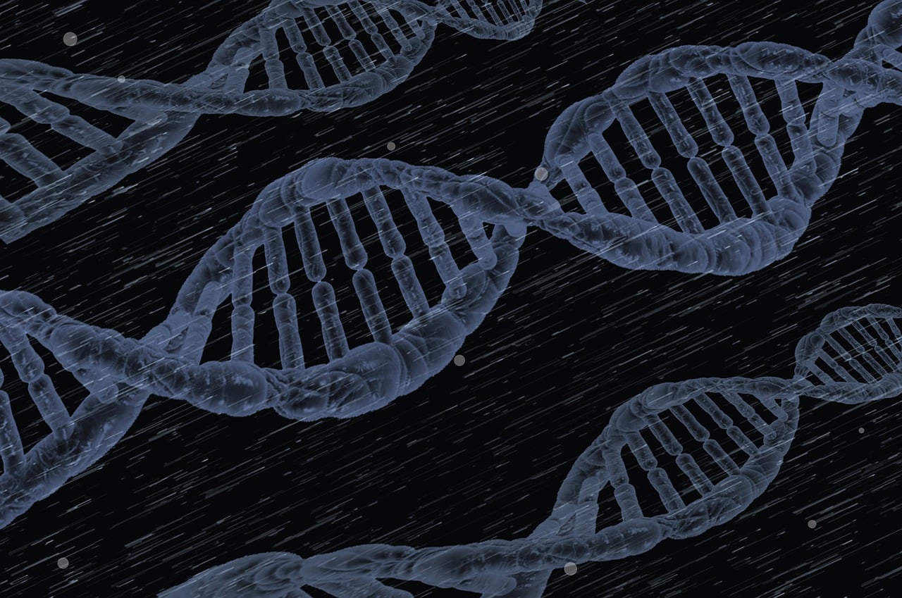 1,000+ Free Dna Helix & Dna Images - Pixabay