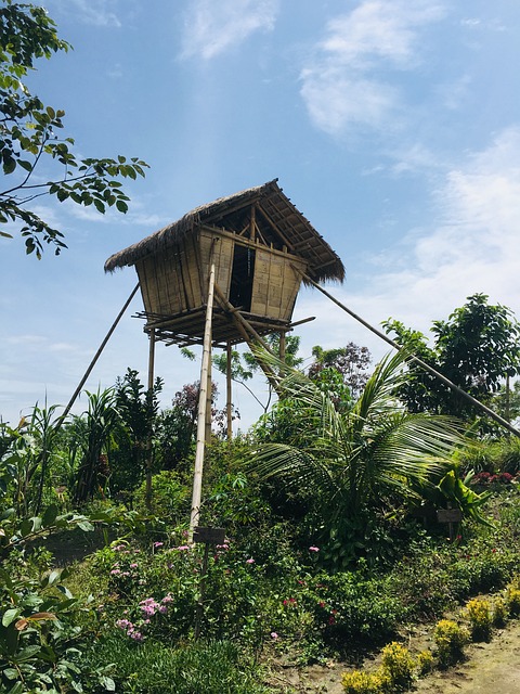 Cabane Nature Philippines - Photo gratuite sur Pixabay - Pixabay