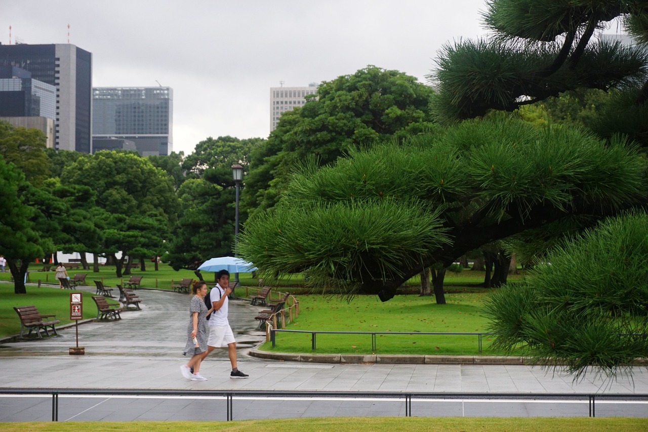 japan-tokyo-walking-free-photo-on-pixabay-pixabay