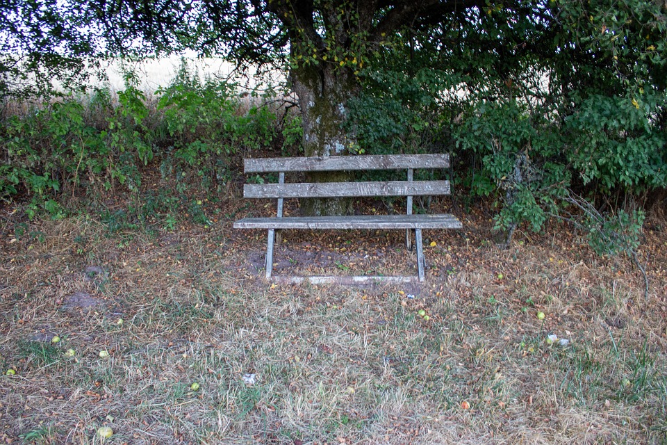 Bank To Sit Nature In The - Free photo on Pixabay - Pixabay