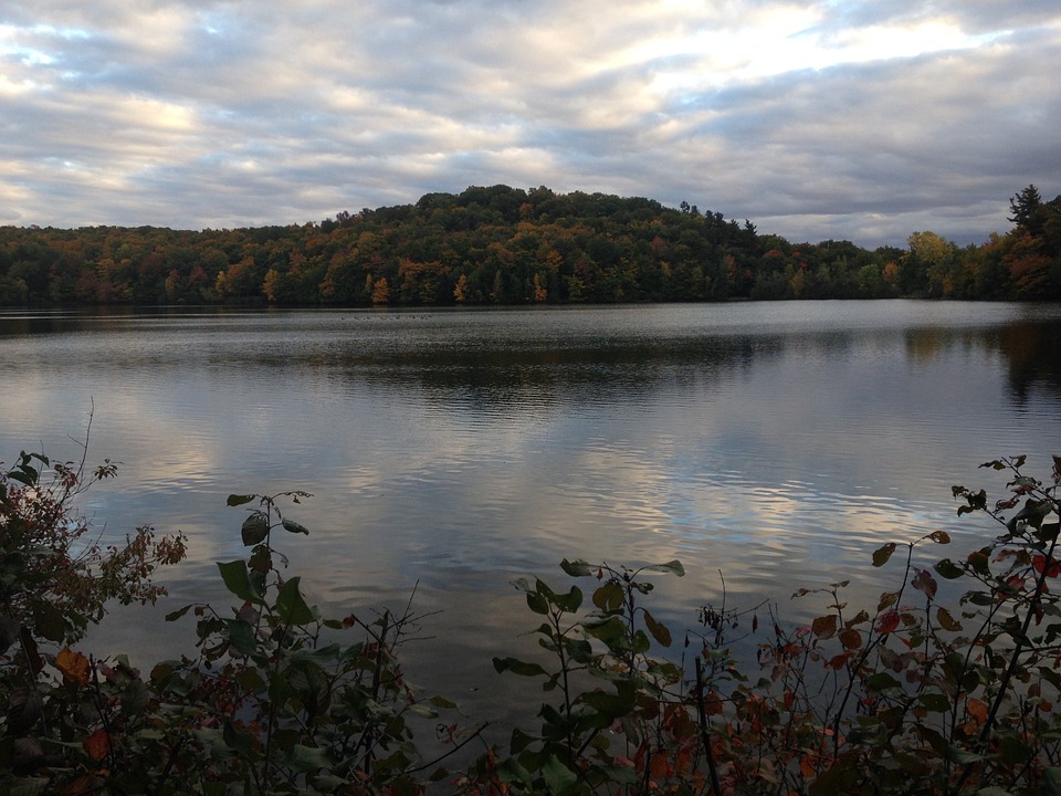 Lake Nature Landscape - Free photo on Pixabay