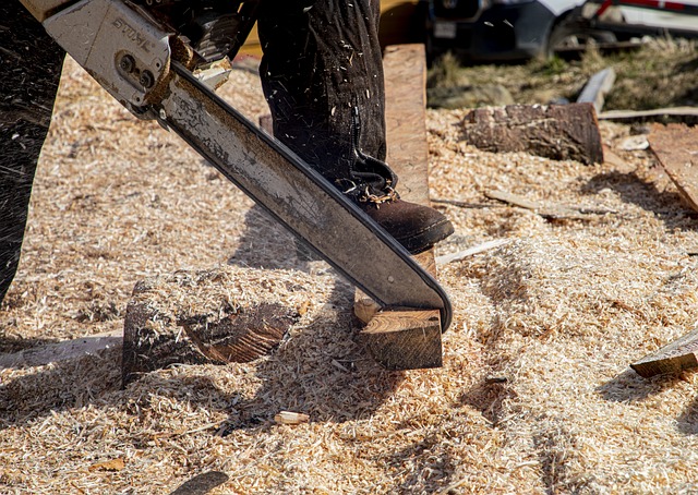Sierra Wood Tools - Free photo on Pixabay - Pixabay