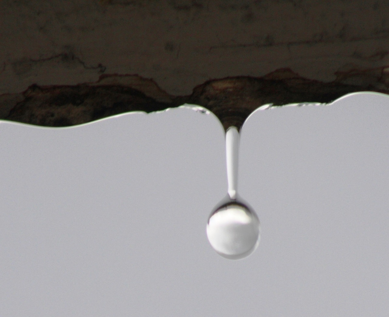 Gouttes L'Eau La Nature Goutte - Photo gratuite sur Pixabay - Pixabay