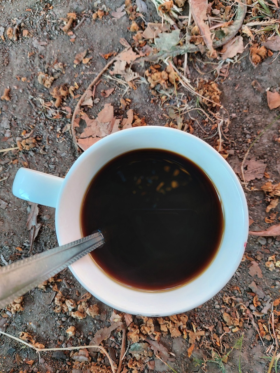 Café Noir Boire - Photo gratuite sur Pixabay - Pixabay