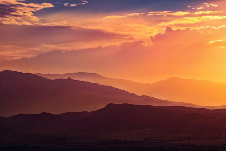 20,000+ Free Sunlight & Nature Images