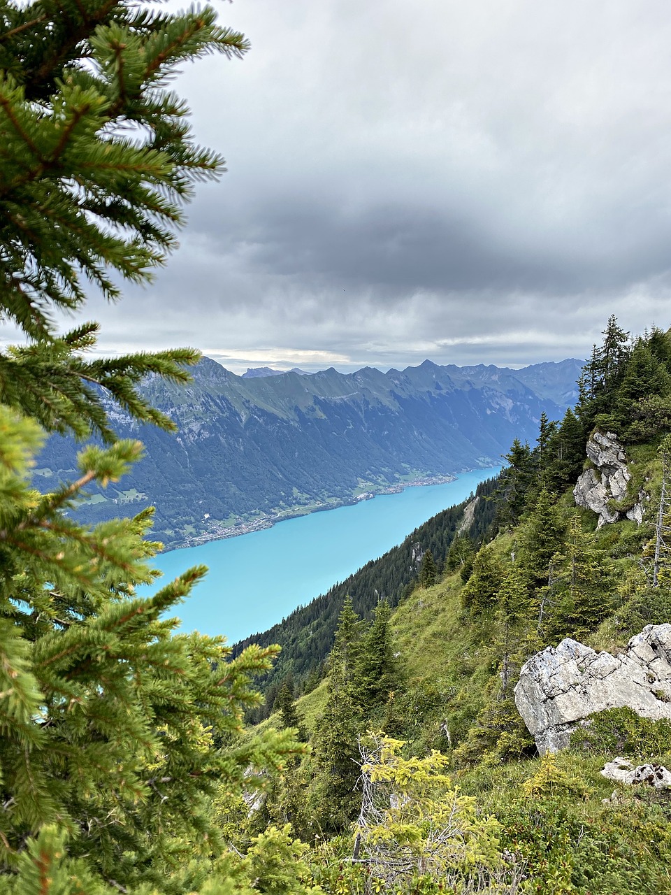 Lake Brienz Mountain - Free photo on Pixabay - Pixabay