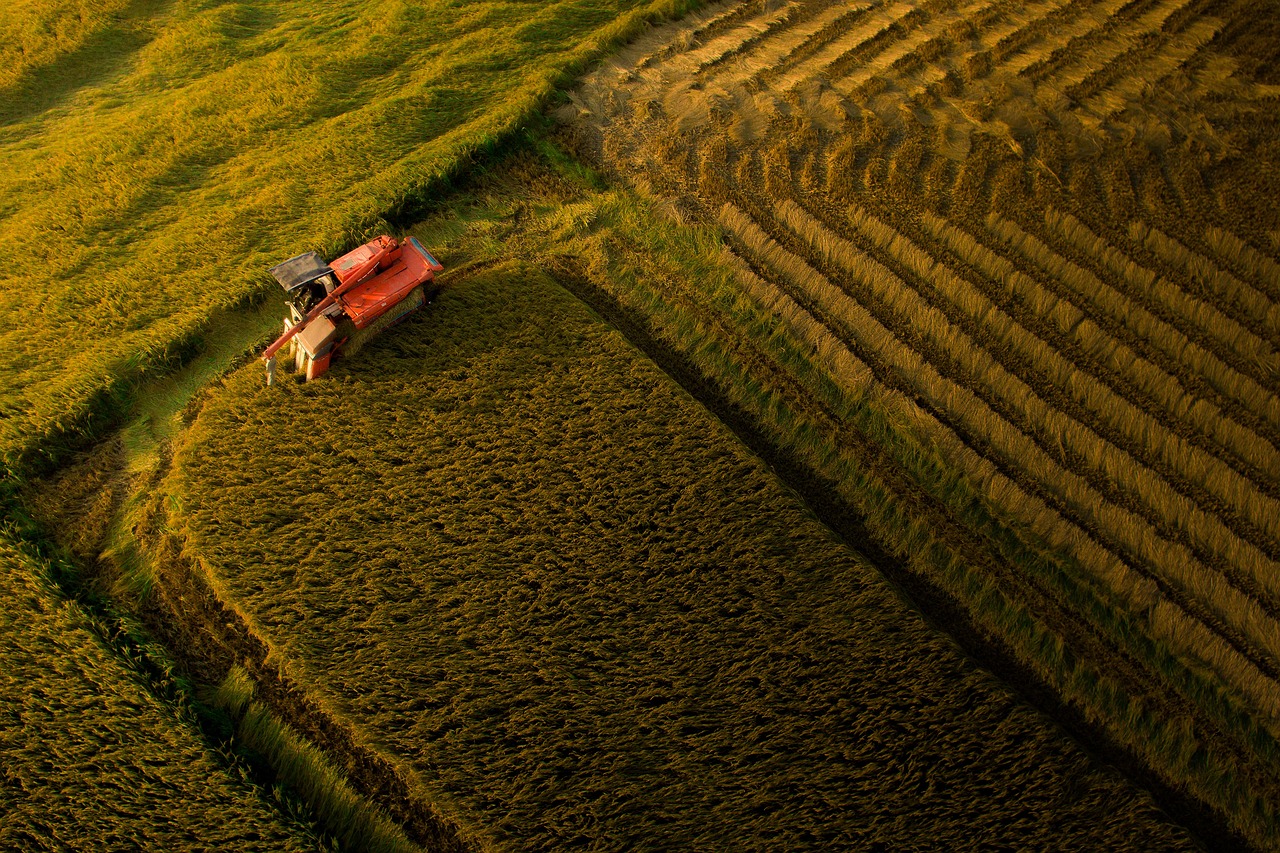 Farm Da Nang Agriculture Arable - Free photo on Pixabay - Pixabay