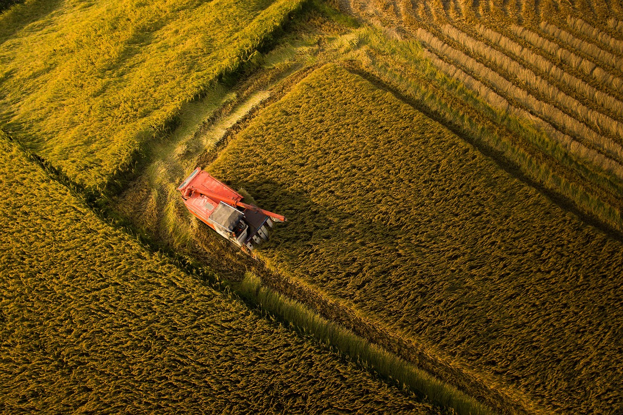 Farm Da Nang Agriculture Arable - Free photo on Pixabay