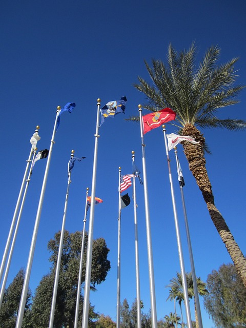 Lake Havasu Flags Tourism Palm - Free photo on Pixabay - Pixabay