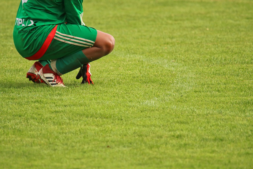 Gardien De But Le Football - Photo gratuite sur Pixabay