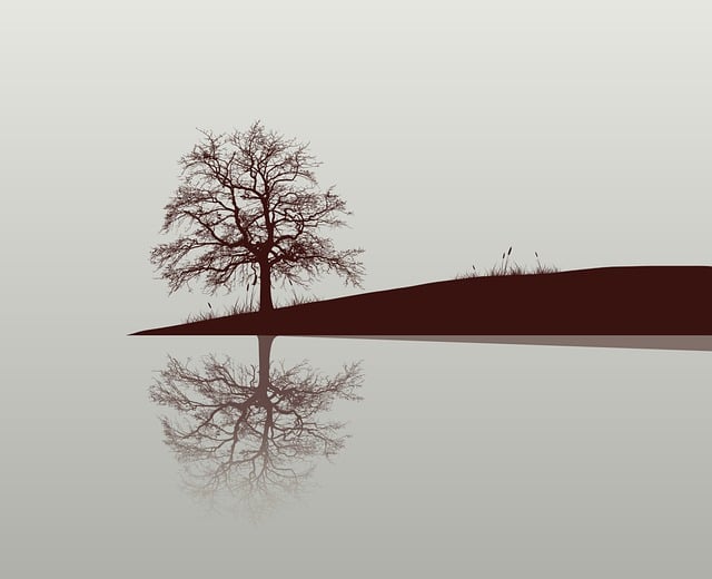 Explore 44,000+ Free Tree Reflection Illustrations: Download Now - Pixabay