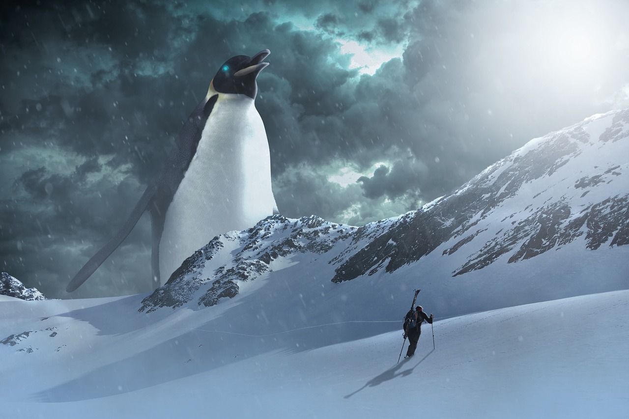 Arctic Wallpaper Penguin