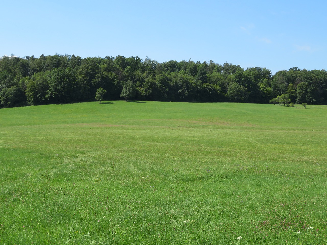 Prairie Ciel Bleu Paysage - Photo gratuite sur Pixabay - Pixabay