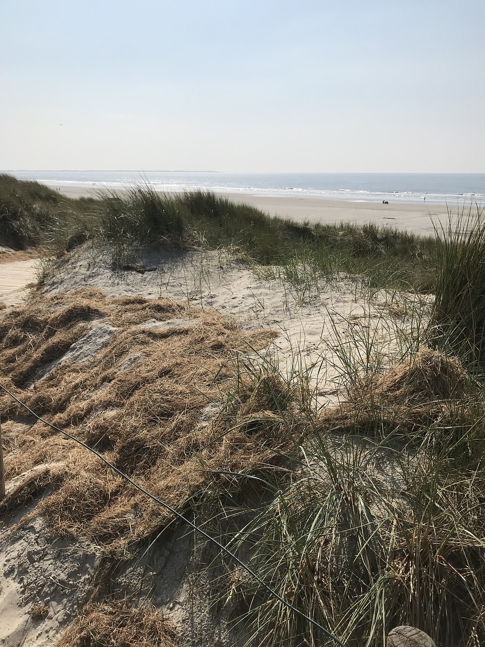 North Sea Beach Sand - Free photo on Pixabay - Pixabay