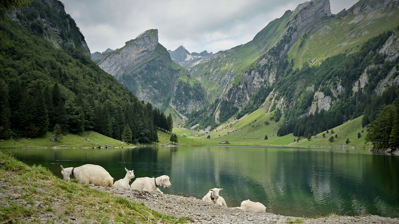 Plus de 200 photos gratuites de Bergsee et de Nature - Pixabay