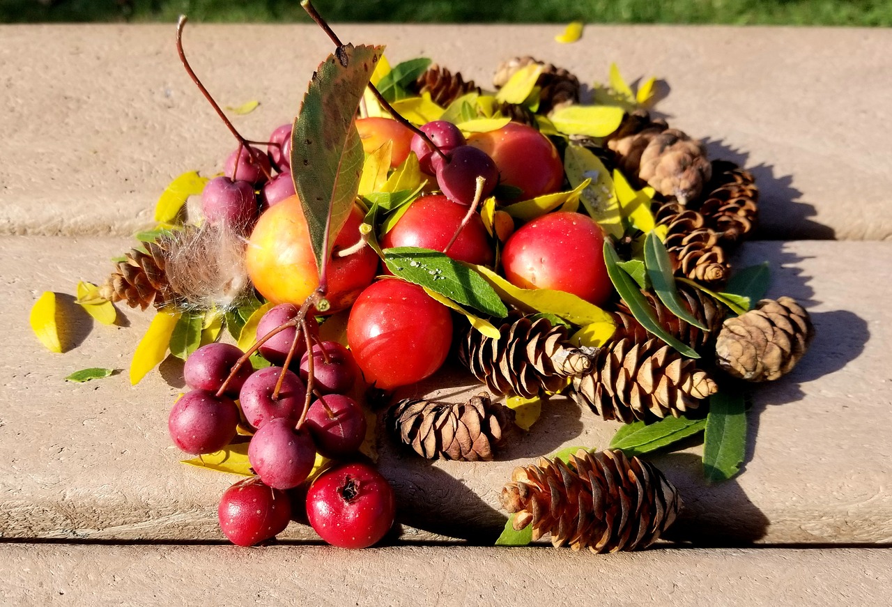 Tombe Des Fruits Action De Grâces - Photo gratuite sur Pixabay - Pixabay