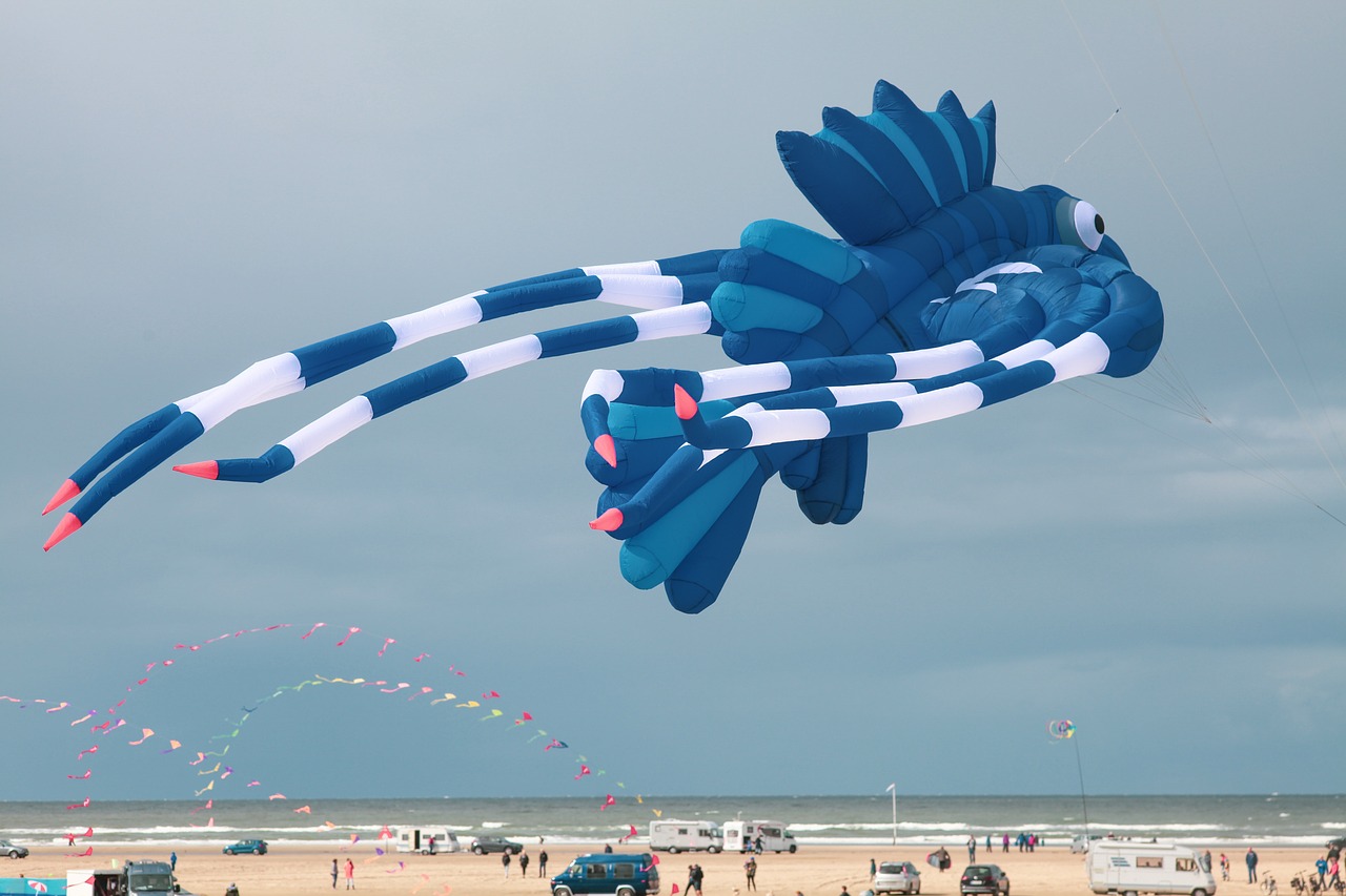 Dragon Ballon Plage - Photo gratuite sur Pixabay - Pixabay