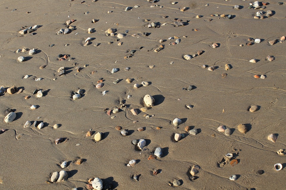 Sand Strand Muscheln - Kostenloses Foto auf Pixabay - Pixabay