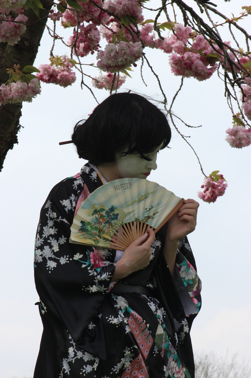 Geisha La Photographie Japon - Photo gratuite sur Pixabay - Pixabay