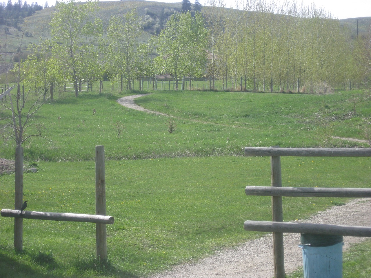 Hondenpark Gebied - Gratis foto op Pixabay - Pixabay