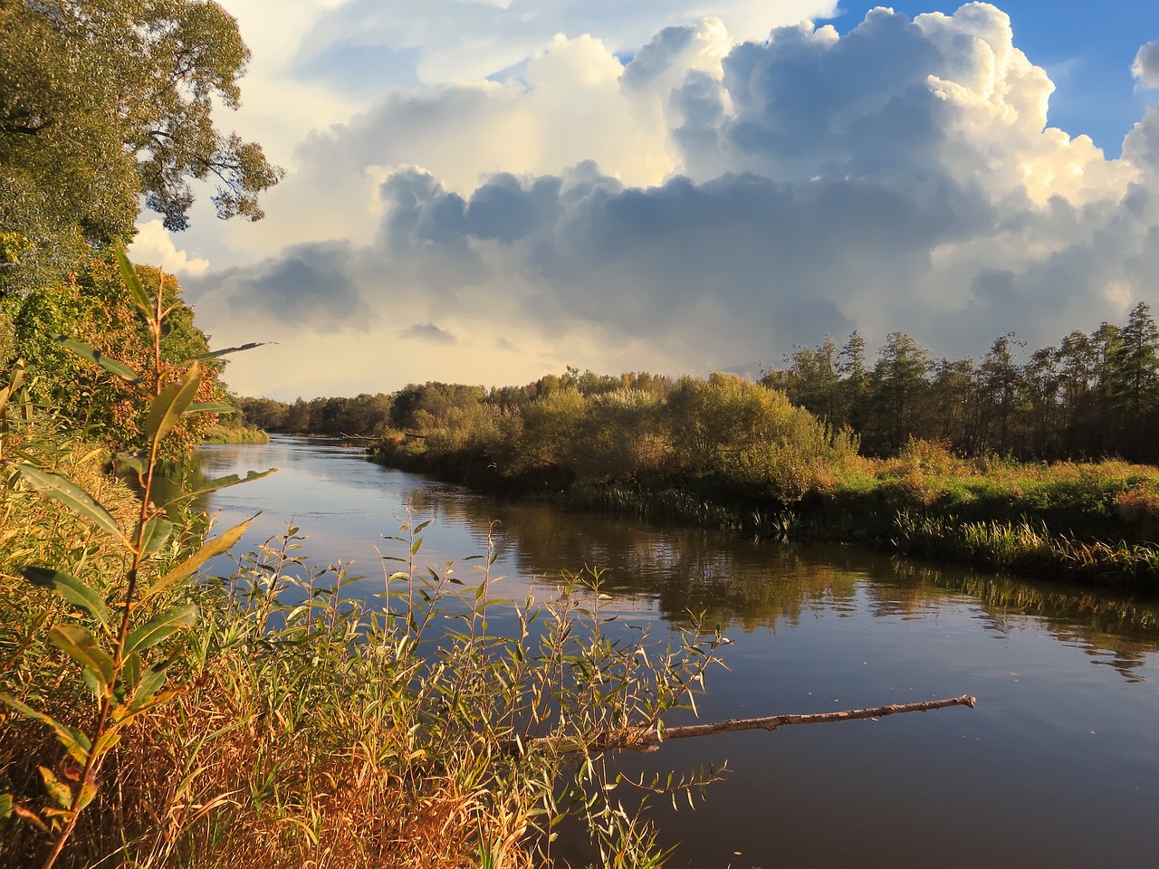 Łotwa Rzeka Lato - Darmowe zdjęcie na Pixabay - Pixabay