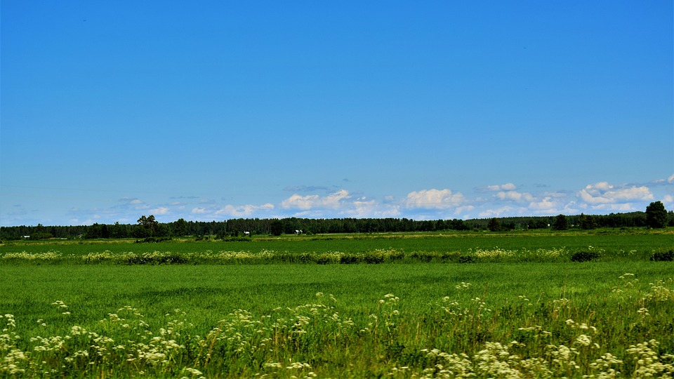 Paysage Rural Finlande L'Été - Photo gratuite sur Pixabay - Pixabay