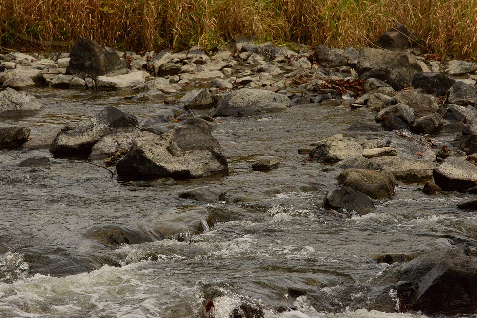 Brook Stream River - Free photo on Pixabay - Pixabay