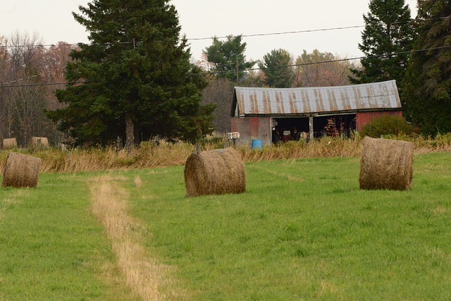 Farm Hay Bales - Free photo on Pixabay - Pixabay