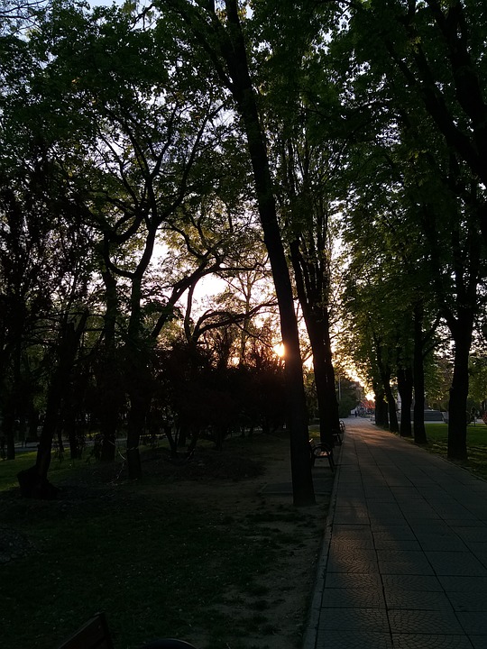 Atardecer Parque Árboles - Foto gratis en Pixabay - Pixabay