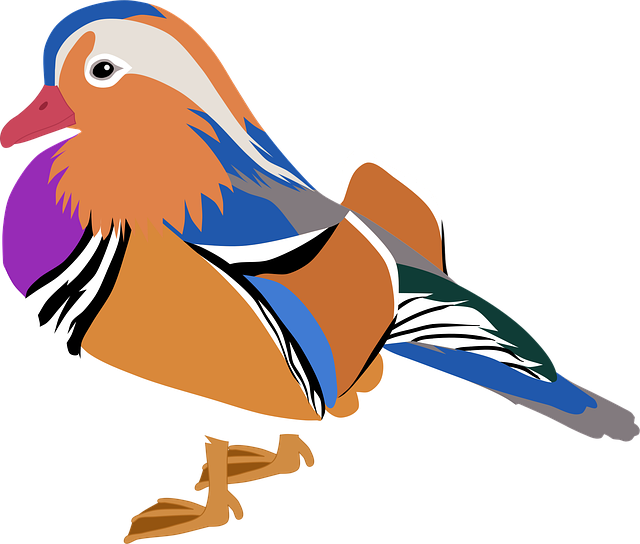 Explore 1,142+ Free Duck Illustrations: Download Now - Pixabay