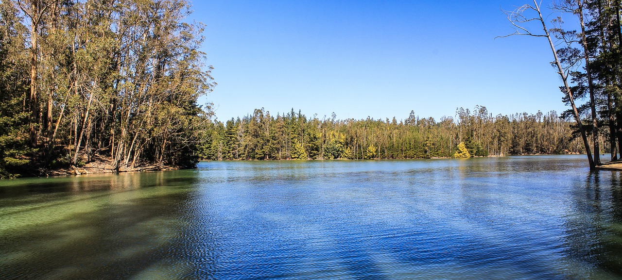 Lagon De Curauma Valparaiso Forêt - Photo gratuite sur Pixabay - Pixabay