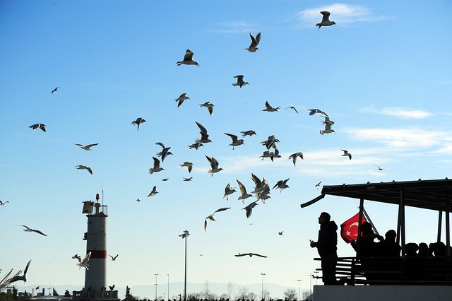 30,000+ Free People Flying & People Images - Pixabay