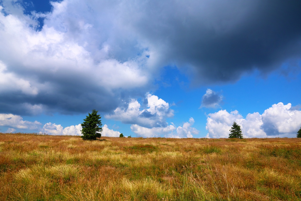 De Campagne La Nature Prairie - Photo gratuite sur Pixabay - Pixabay