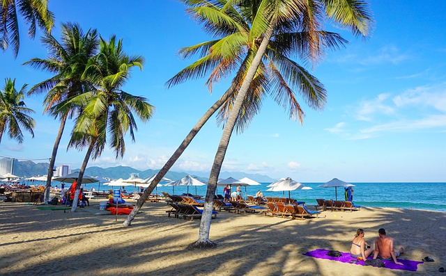 Praia Palmeiras Ilha - Foto gratuita no Pixabay - Pixabay