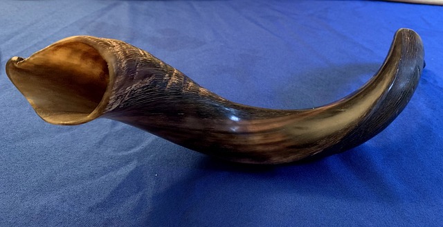 Shofar Judaico Feriado - Foto gratuita no Pixabay