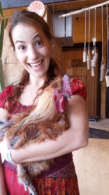 Chicken Women - Free photo on Pixabay - Pixabay