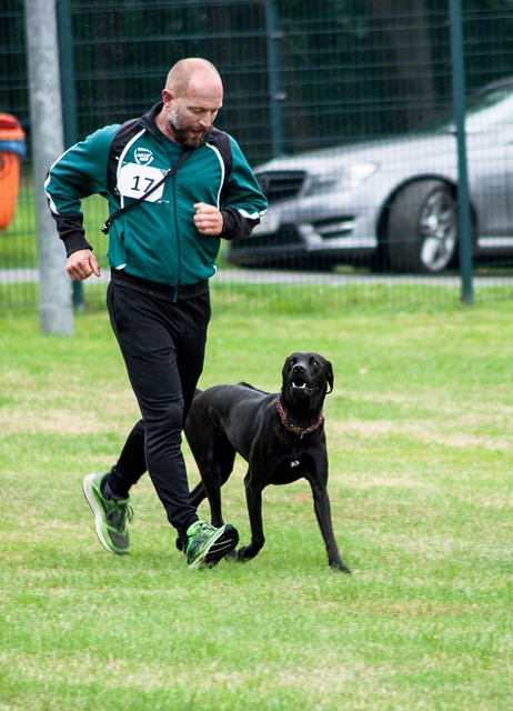 Human Man Dog And - Free photo on Pixabay