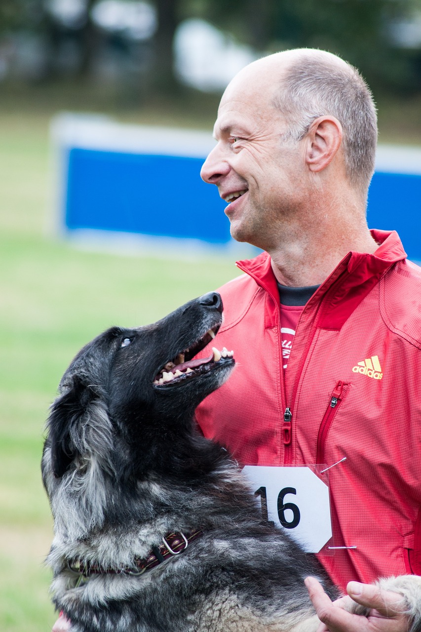 Dog Human Team - Free photo on Pixabay - Pixabay
