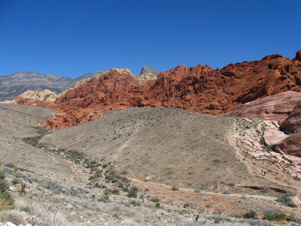 Red Rock Canyon Las Vegas Merah - Foto gratis di Pixabay - Pixabay