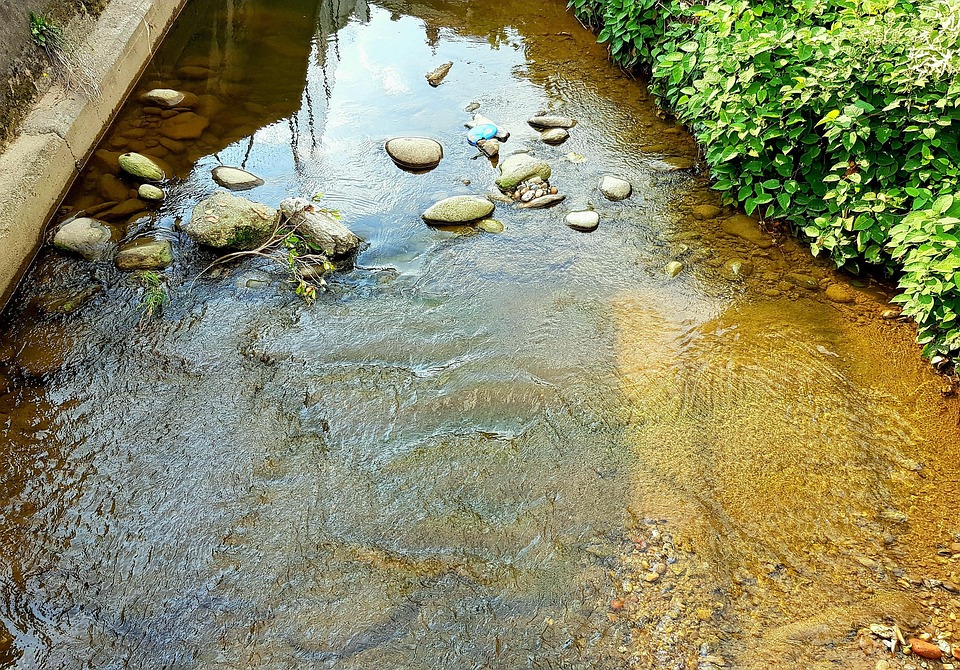 Water Nature Reflexes - Free photo on Pixabay - Pixabay