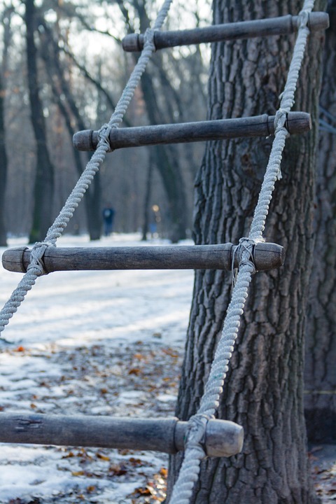 Rope Ladder Park Tree - Free photo on Pixabay - Pixabay