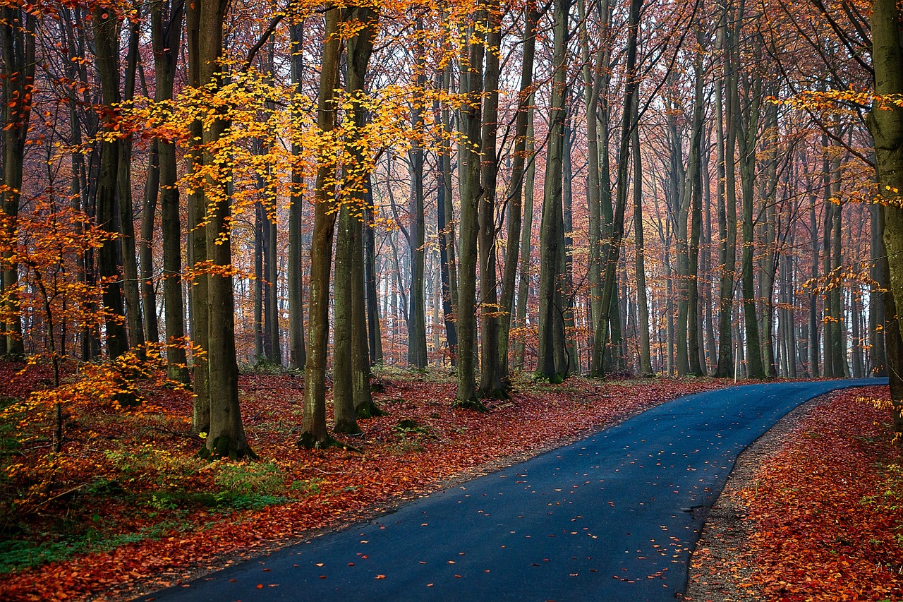 Pictures Of Fall Season